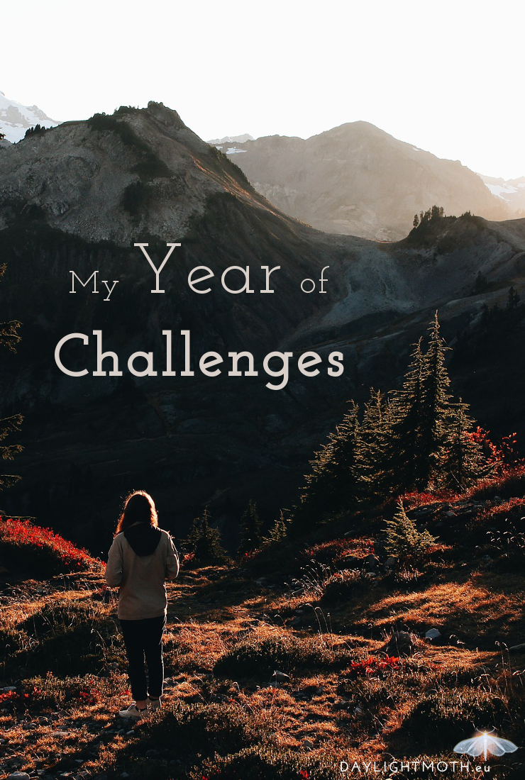 My year of 12 Challenges – and what I learned from it • Daylight Moth